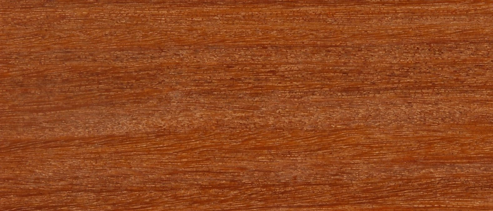 Madera de cumarú | Techos y Pérgolas en Quéretaro
